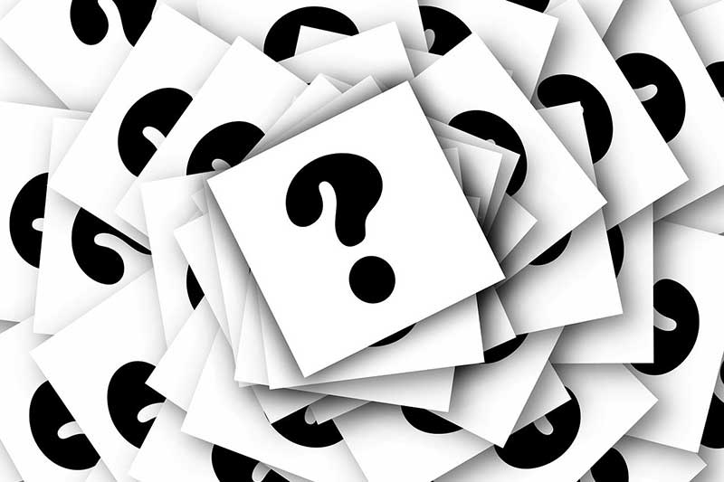 31 Common Questions New Bloggers Ask Answered Niche Informer
