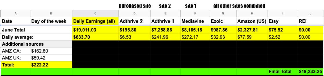 Niche Site Portfolio Income Report June 2021 ($19,311) - Niche Informer